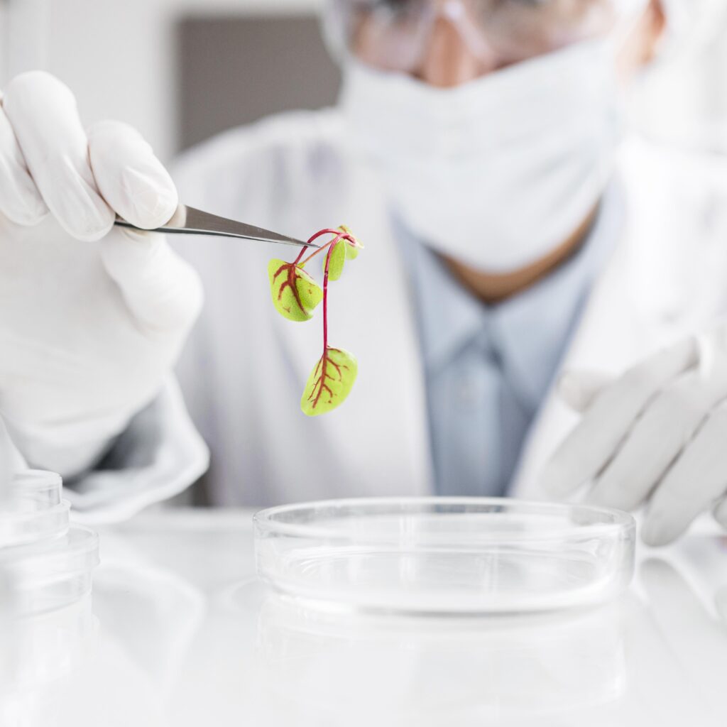 Identification Of Lipid Regulatory Genes Modulated By Polyherbal ...